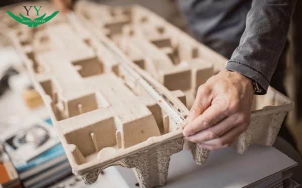 Molded Fiber Trays: What They Are and Why They Matter