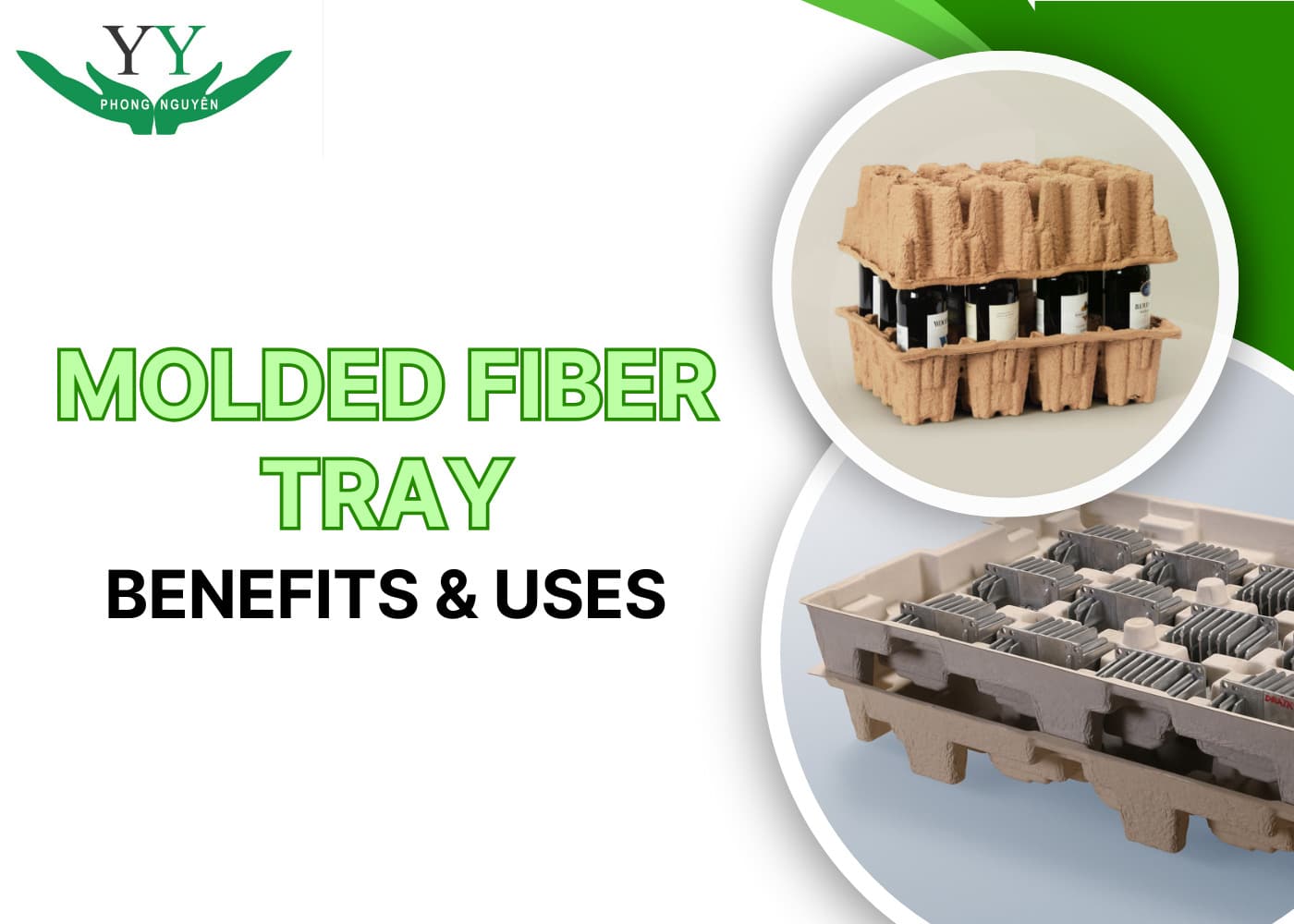 Molded Fiber Trays: What They Are and Why They Matter