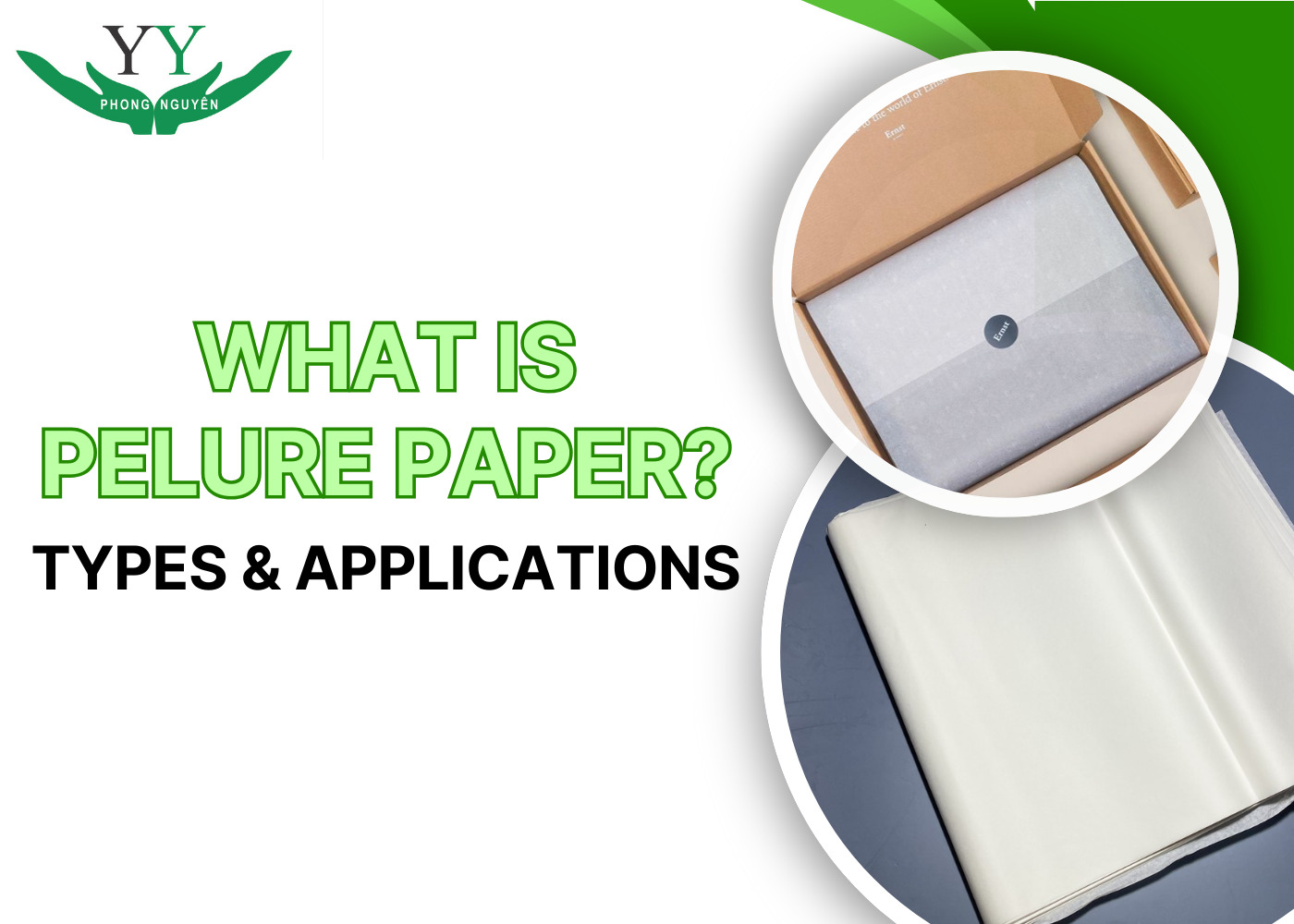 What Is Pelure Paper? Characteristics, Types and Applications
