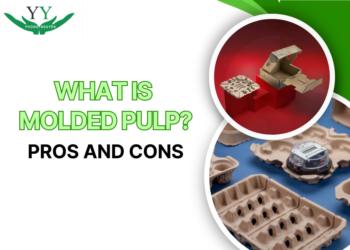 What Is Molded Pulp? Manufacturing, Types, Pros And Cons