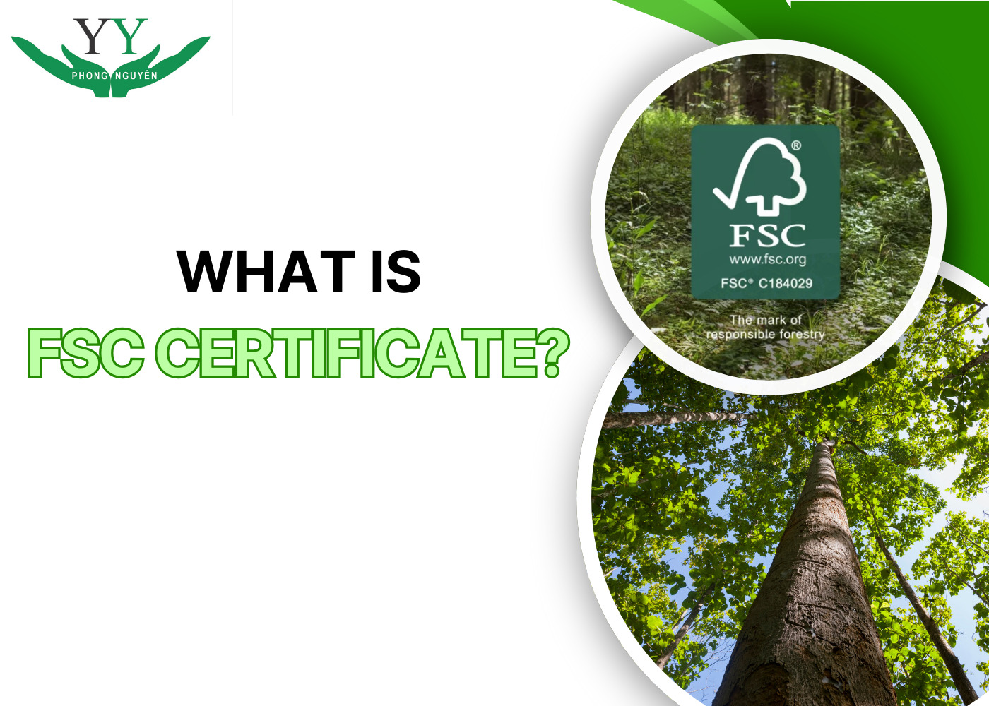What is FSC Certificate? 10 Core Principles of FSC Standards