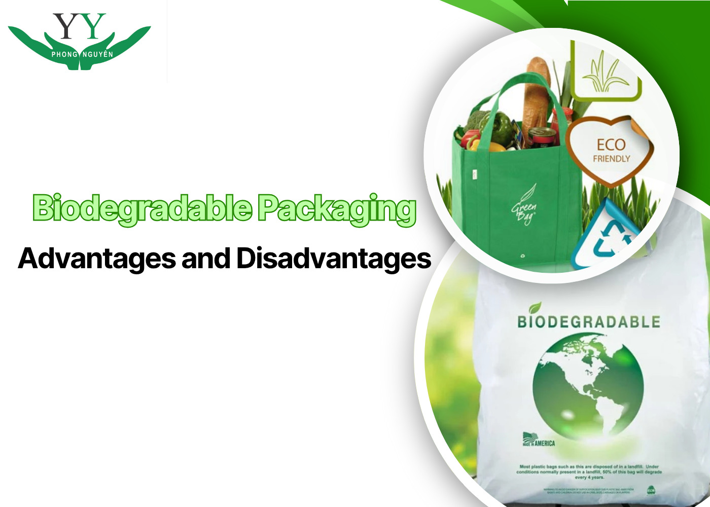 What is Biodegradable Packaging? Advantages & Disadvantages