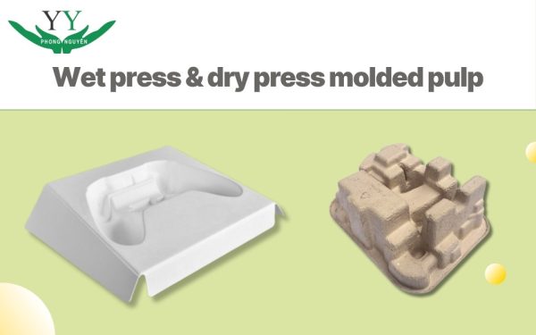 5 Differences Between Wet Press Molded Pulp And Dry Press